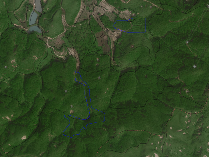 科教大道（南山路至红海大道）建设工程项目（施工驻地等）临时使用林地公示_深汕网