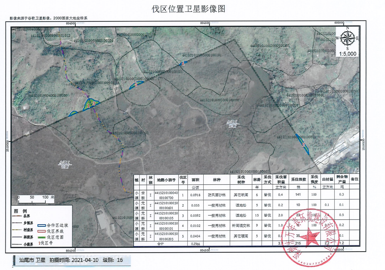 关于深汕智造城项目（小漠）场地平整工程东地块临时用林申请林木采伐的公示_深汕网