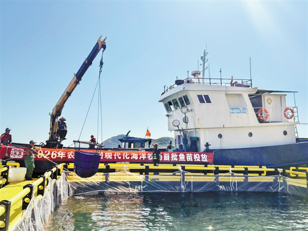 深圳首个现代化海洋牧场投苗 政企合作共筑“蓝色粮仓”_深汕网
