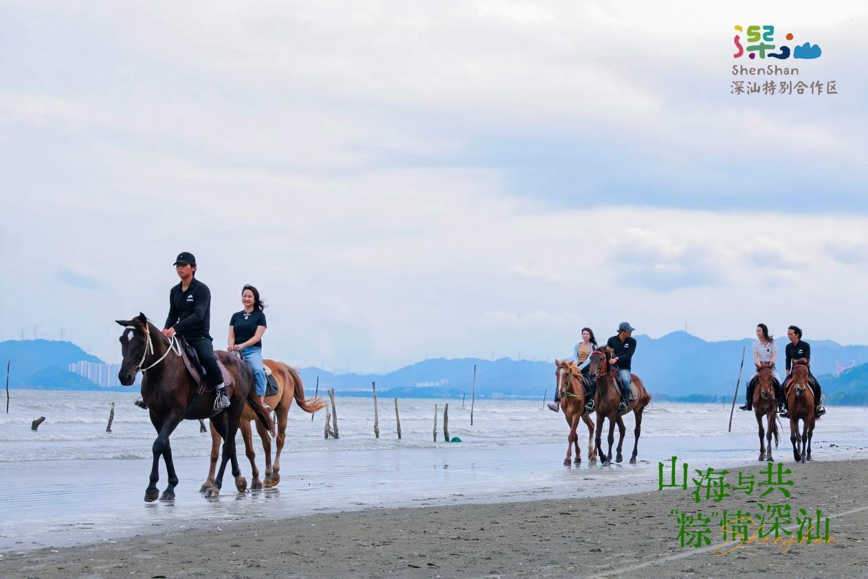 山海与共 “粽”情深汕 解锁深汕的N种打开方式_深汕网